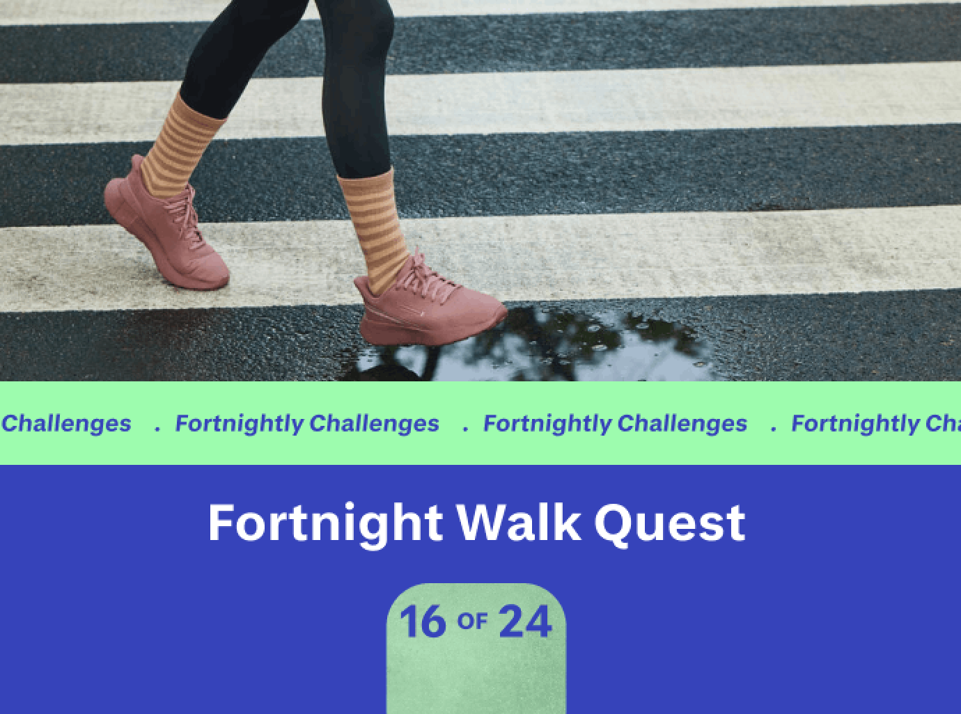 Fortnight Walk Quest - 16 of 24